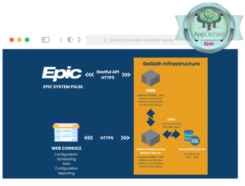 Epic System Pulse Performance Monitoring & Troubleshooting